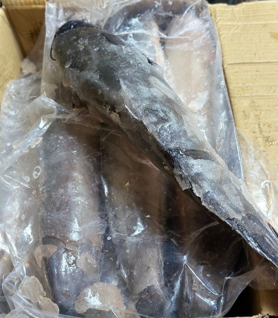 Nigerian Frozen Catfish 10kg - African Market Dubai