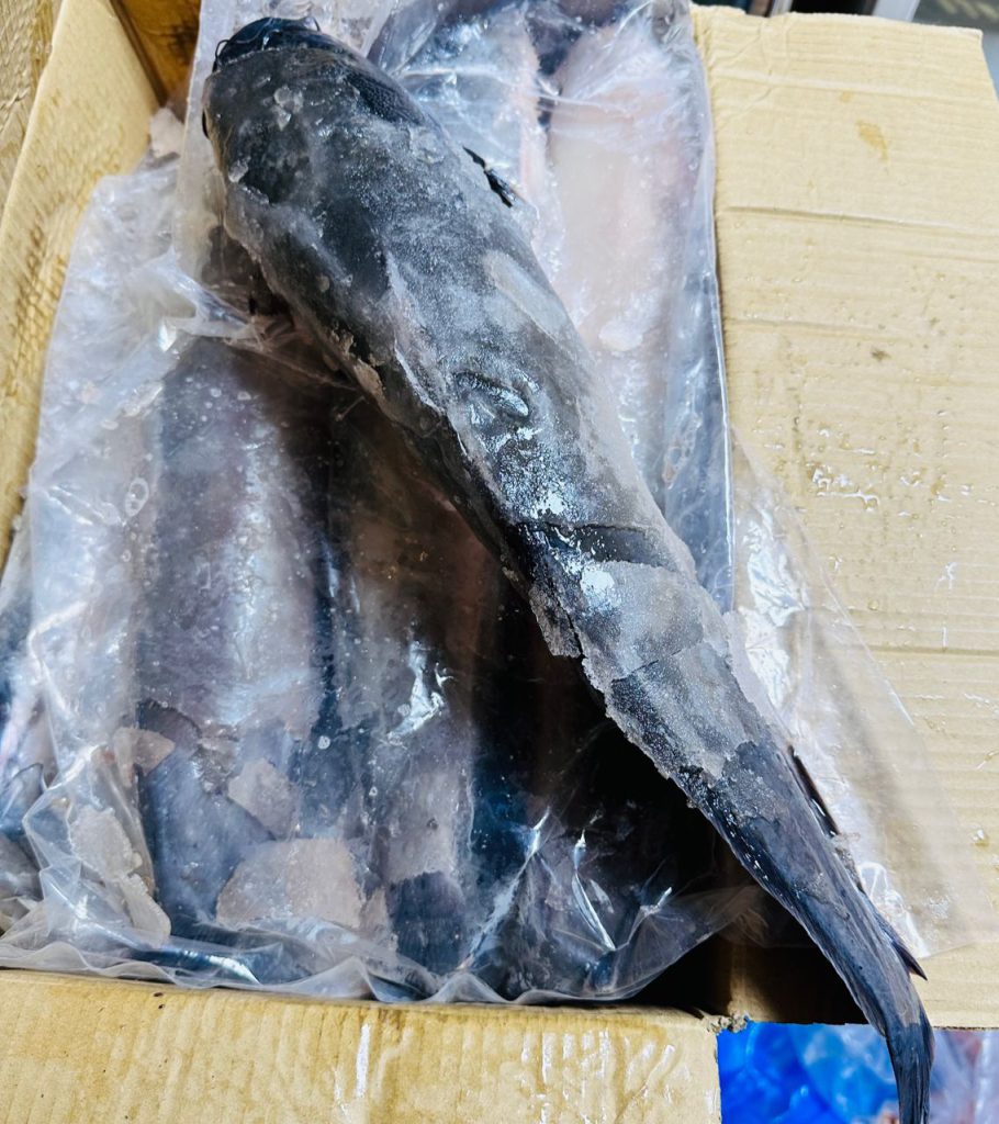Nigerian Frozen Catfish 5kg - African Market Dubai