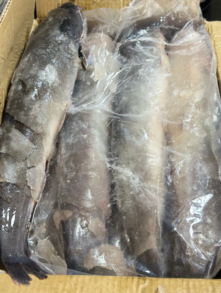 Nigerian Frozen Catfish 5kg - African Market Dubai